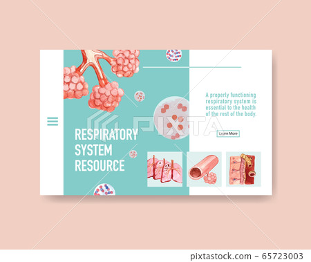 respiratory system design for website template - Stock Illustration ...