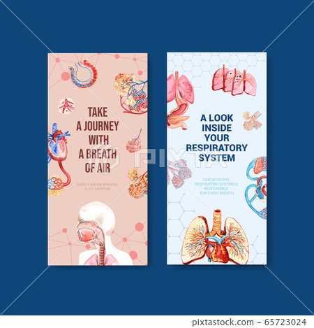 Respiratory flyer design with Human Anatomy of - Stock Illustration ...
