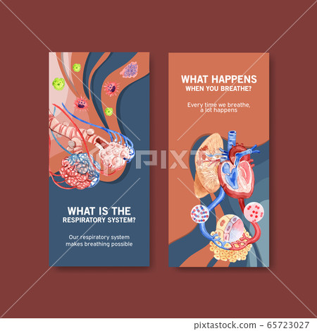 Respiratory flyer design with Human Anatomy of - Stock Illustration ...