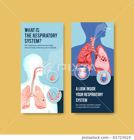 Respiratory flyer design with Human Anatomy of - Stock Illustration ...
