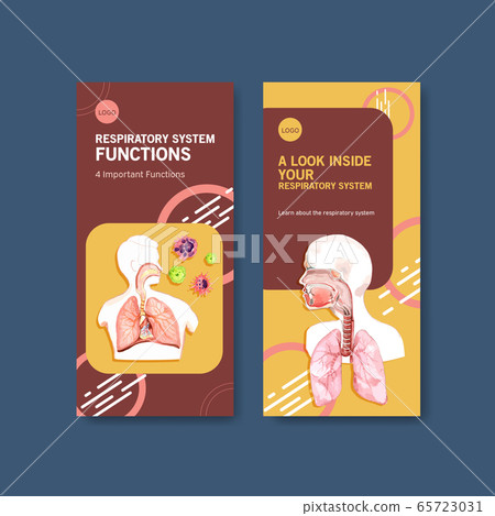 Respiratory flyer design with Human Anatomy of - Stock Illustration ...