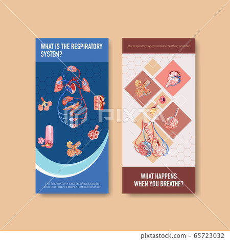 Respiratory flyer design with Human Anatomy of-插圖素材 [65723032] - PIXTA圖庫
