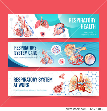 respiratory banner design with Human Anatomy of - Stock Illustration ...