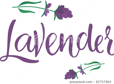 Lavender - sign and flowers illustration for... - Stock Illustration ...