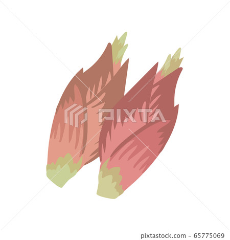 Illustration of mioga - Stock Illustration [65775069] - PIXTA