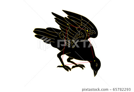88 constellation Black raven - Stock Illustration [65782293] - PIXTA