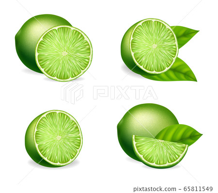 Realistic Detailed 3d Fresh Lime Set. Vector - Stock Illustration ...