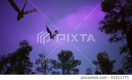 Amazing magical creatures fly over a mysterious... - Stock Illustration ...