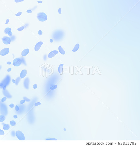 Dark blue flower petals falling down. Surprising r - Stock Illustration ...