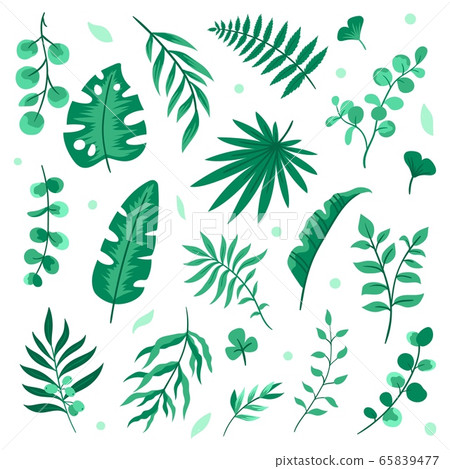Set of isolated green natural elements. - Stock Illustration [65839477 ...
