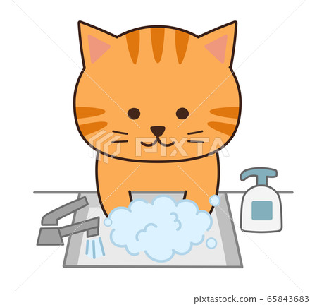 Cat washing hands - Stock Illustration [65843683] - PIXTA