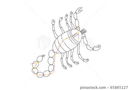 88 constellation Scorpio - Stock Illustration [65865127] - PIXTA