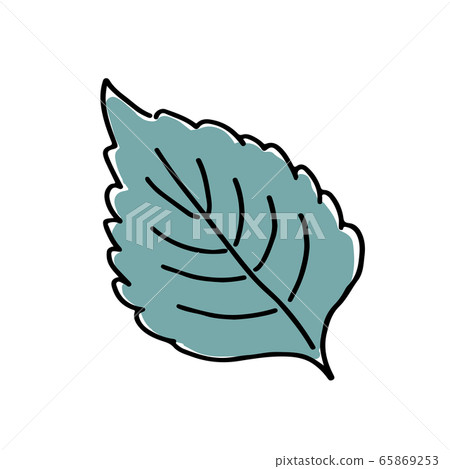 Blue shiso - Stock Illustration [65869253] - PIXTA