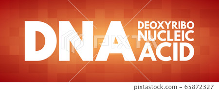 DNA - Deoxyribonucleic Acid acronym - Stock Illustration [65872327] - PIXTA