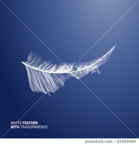 White fluffy feather quill on pink background - Stock Illustration ...