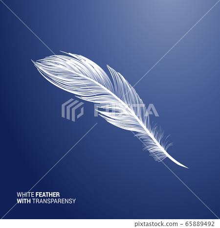 White fluffy feather quill on pink background - Stock Illustration ...