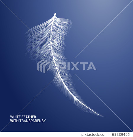 White fluffy feather quill on pink background - Stock Illustration ...