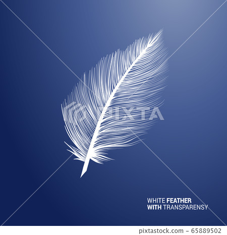 White fluffy feather quill on pink background - Stock Illustration ...