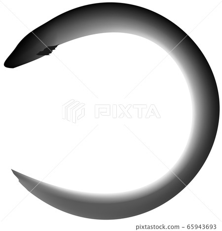 Circular eel (vector illustration) - Stock Illustration [65943693] - PIXTA