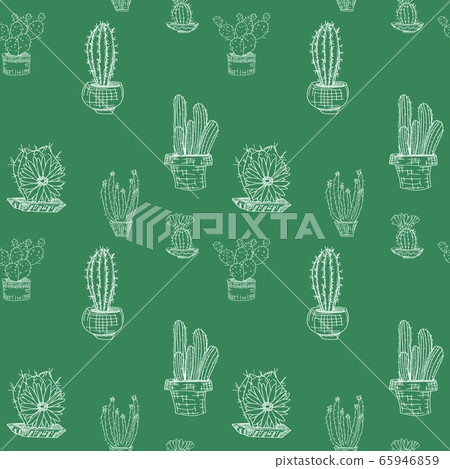 seamless green pattern with different cacti vector - Stock Illustration [65946859] - PIXTA