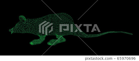 Wireframe polygonal mouse - Stock Illustration [65970696] - PIXTA