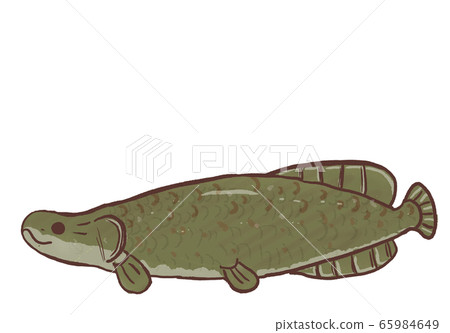 R: Cute fairy tale ancient fish Piraruku 2 - Stock Illustration ...
