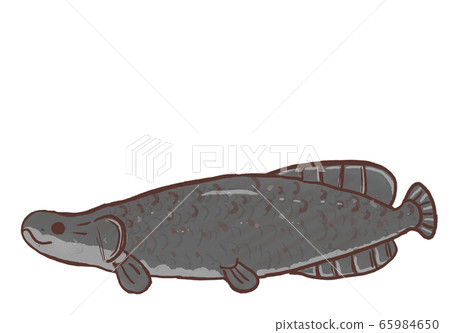 R: Cute fairy tale ancient fish Piraruku 1 - Stock Illustration ...