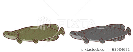 R: Cute fairy tale ancient fish piraluc - Stock Illustration [65984651 ...