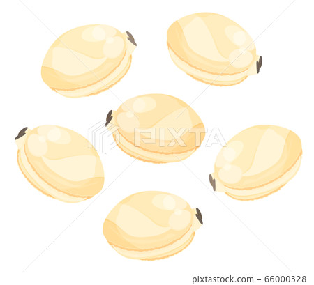 Illustration of shells scattered in a circle _... - Stock Illustration ...
