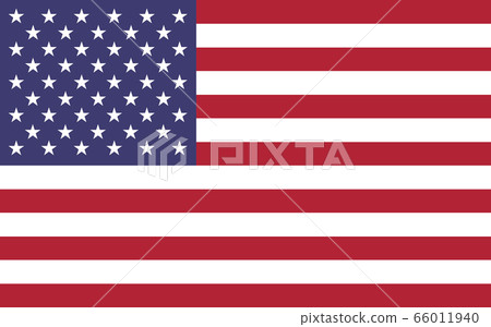 USA flag vector graphic. Rectangle American flag - Stock Illustration ...