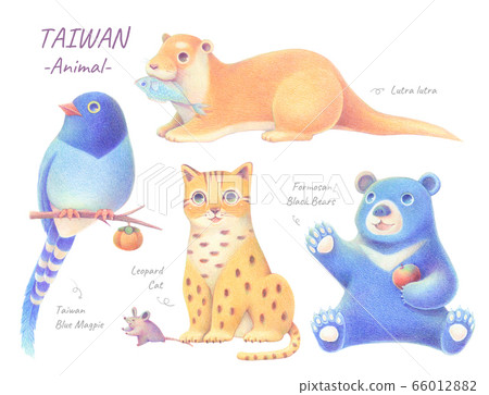 Taiwan endemic species collection - Stock Illustration [66012882] - PIXTA