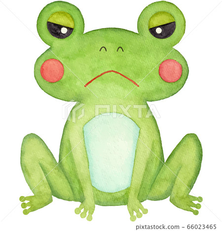 Angry frog (watercolor vector) - Stock Illustration [66023465] - PIXTA