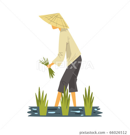 Rice Farmer Hat Cartoon