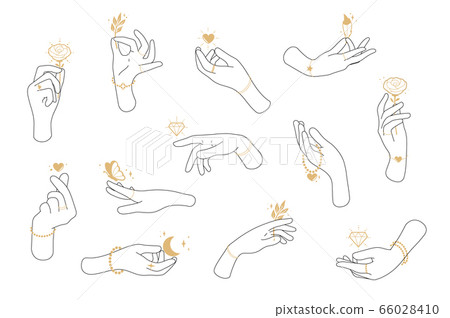 Collection of hands and fingers. - Stock Illustration [66028410] - PIXTA