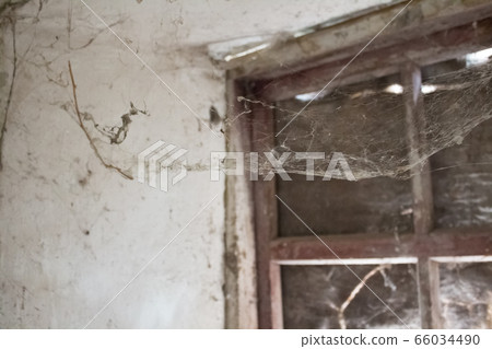 Cobwebs In House