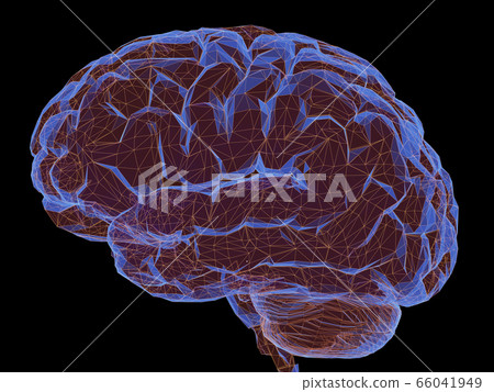 Human Brain Nervous System Power Connections - Stock Illustration ...