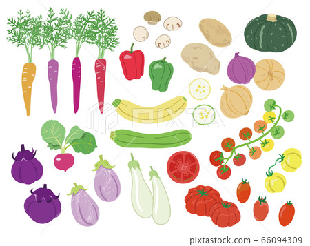 Illustration set of foreign vegetables - Stock Illustration [66094309 ...