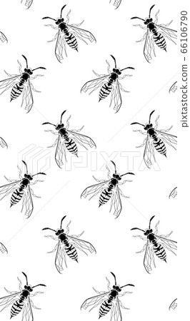 Dark gothic wasp insect vertical seamless... - Stock Illustration ...