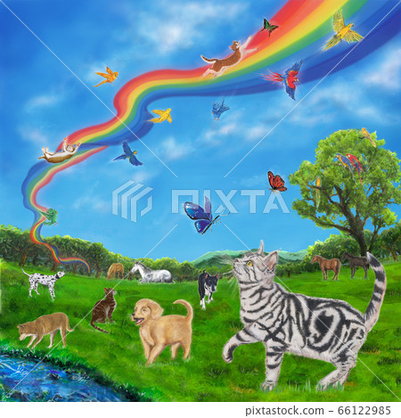 Illustration of the rainbow bridge - Stock Illustration [66122985] - PIXTA