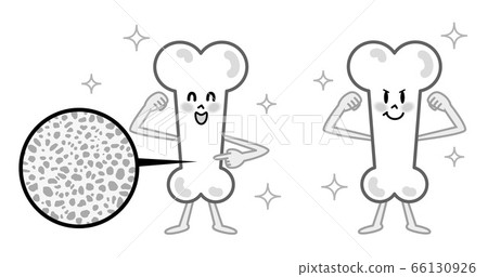 Bone bone density healthy monochrome illustration - Stock Illustration ...