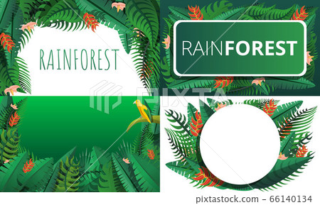 Rainforest banner set, cartoon style-插圖素材 [66140134] - PIXTA圖庫