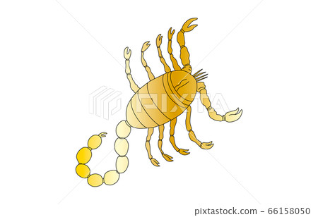 88 constellation gold scorpio - Stock Illustration [66158050] - PIXTA