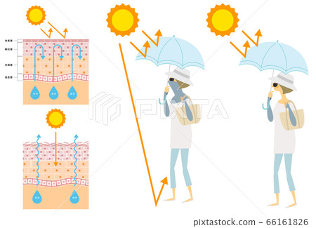 Female, sun protection, skin structure - Stock Illustration [66161826 ...