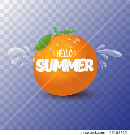 Vector Hello Summer party label or flyer Design... - Stock Illustration ...