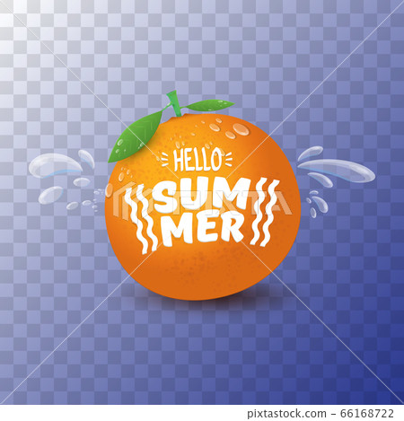 Vector Hello Summer party label or flyer Design... - Stock Illustration ...