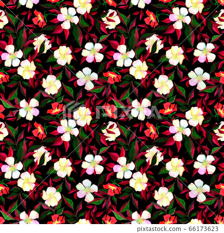 Seamless pattern with rose hips flowers and - Stock Illustration ...