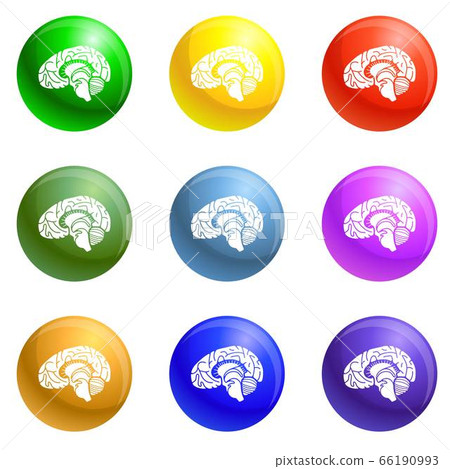 Human brain icons set vector-插圖素材 [66190993] - PIXTA圖庫