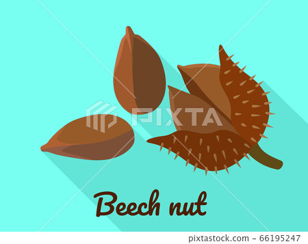 Beech nut icon, flat style - Stock Illustration [66195247] - PIXTA