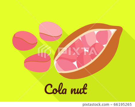 Cola nut icon, flat style - Stock Illustration [66195265] - PIXTA