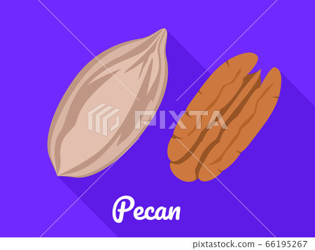Pecan icon, flat style - Stock Illustration [66195267] - PIXTA